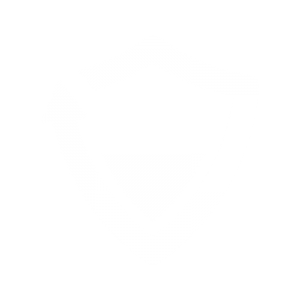 The Throwbot® 2 (TB2) robot is a throwable micro-robot platform that ...